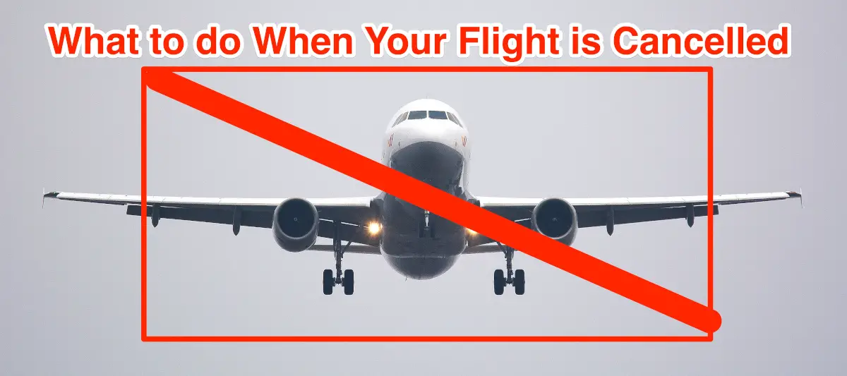 What to do when your flight is canceled - Adam the Adventurer